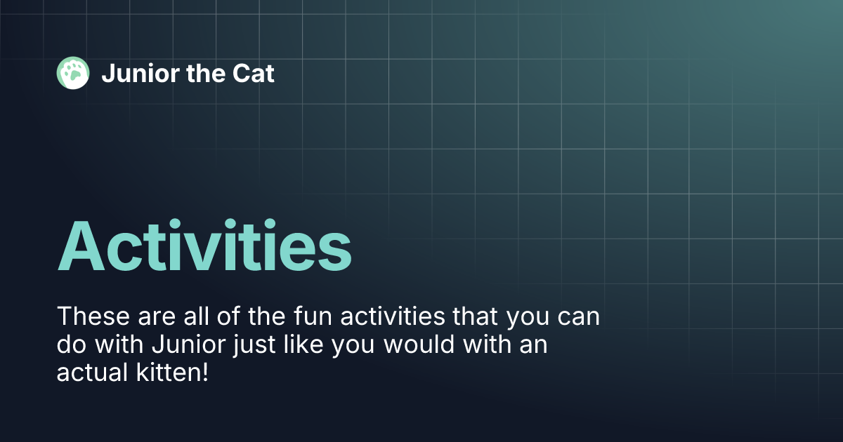 Activities | Junior the Cat